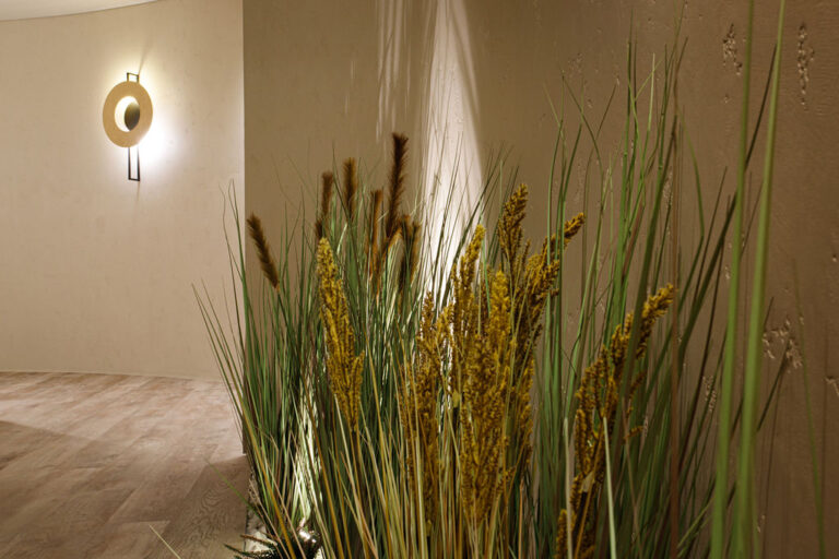 Sveikatinimas ir SPA - Aušra